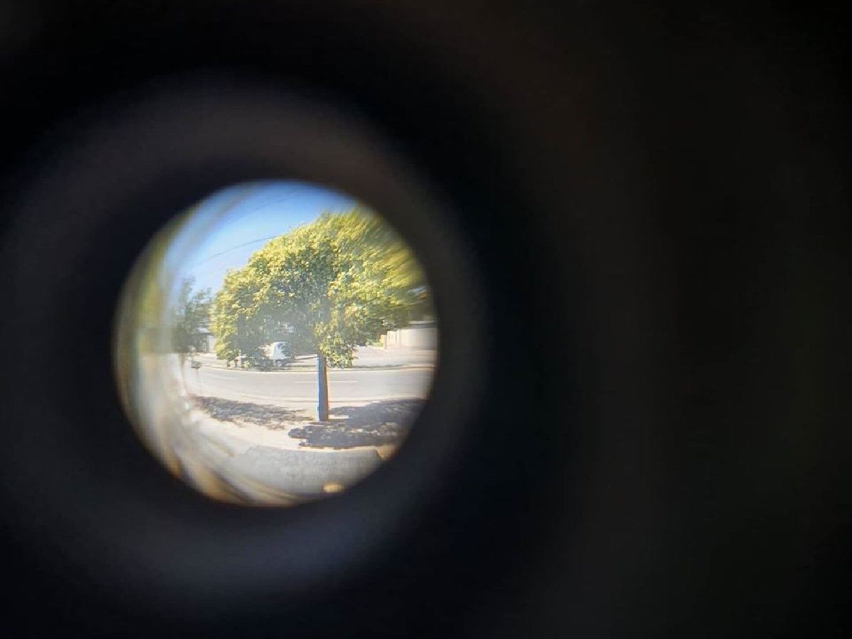 Asomarse de a poco y contener a los niños, entre las recomendaciones a ...