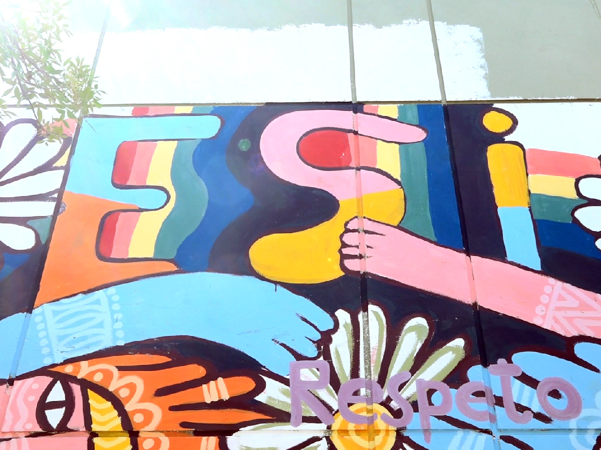 De ESI sí se habla: un mural para una ley revolucionaria – La Voz de ...