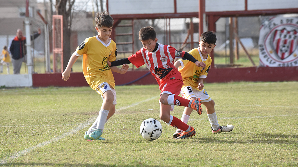 Baby Fútbol: así se jugará la 12° fecha del Clausura – La Voz de San Justo