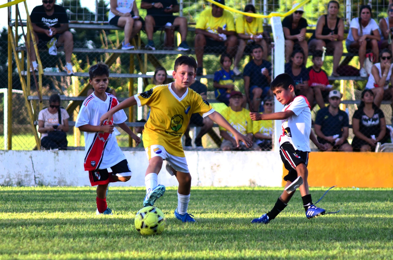 Sigue el Torneo Apertura de baby fútbol – La Voz de San Justo