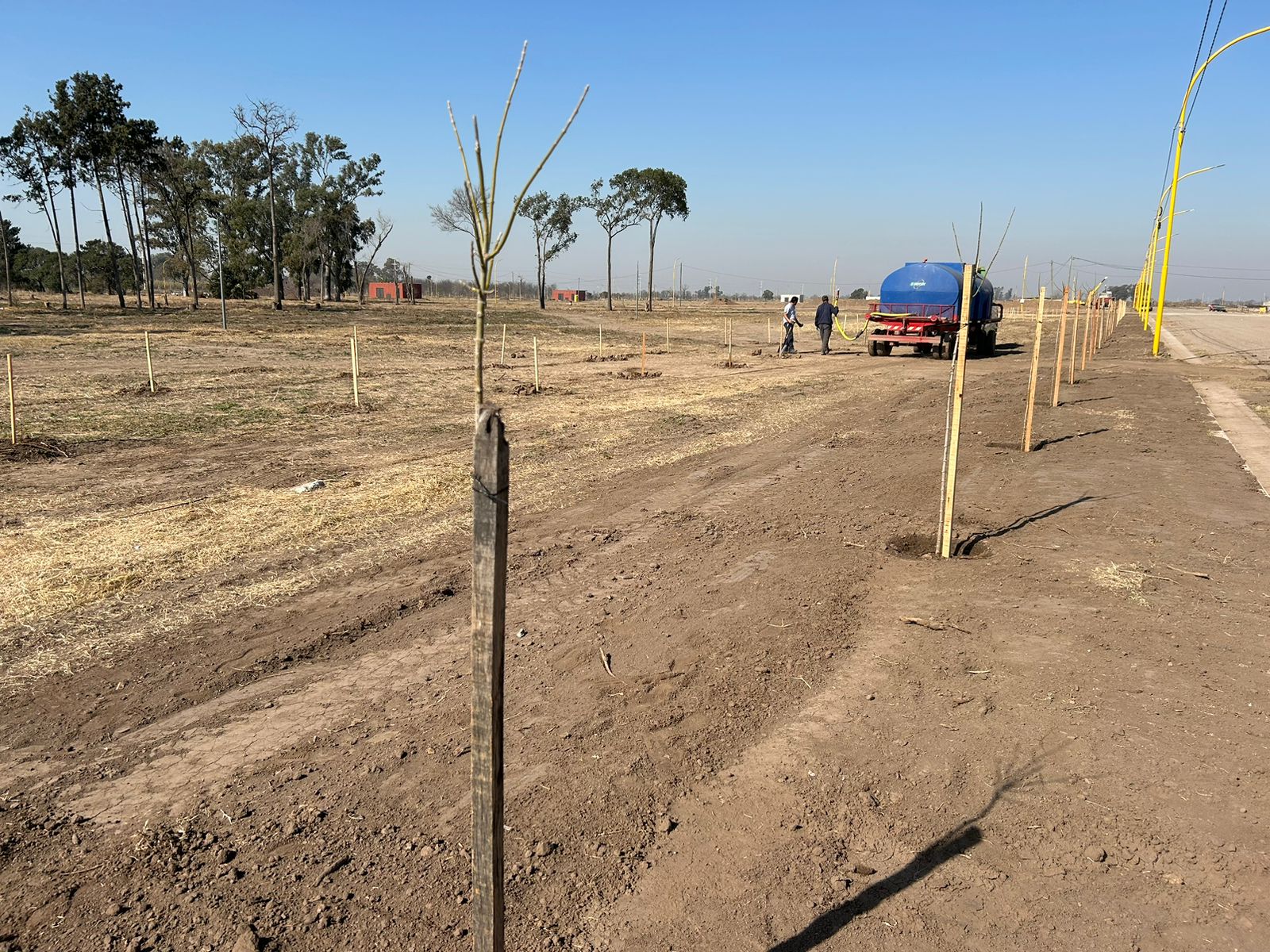 El Parque Industrial, “un gran pulmón verde”, con más de 20.000 árboles ...