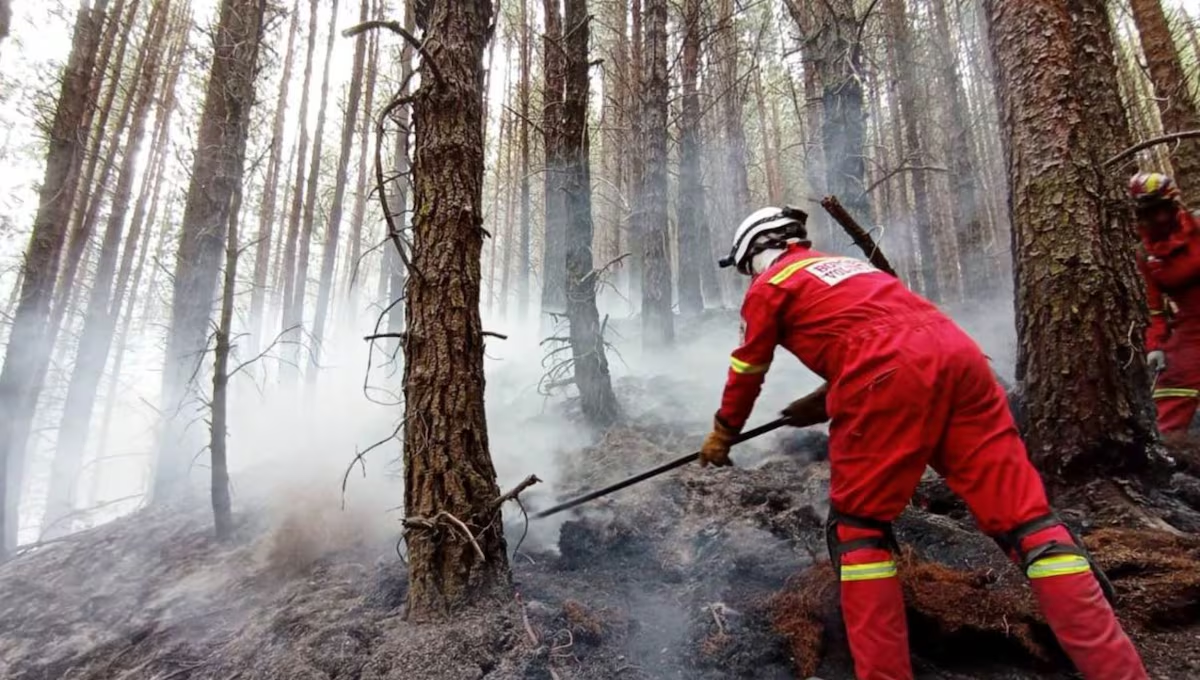 Suman 18 Los Fallecidos Por Los Incendios Forestales En Perú La Voz