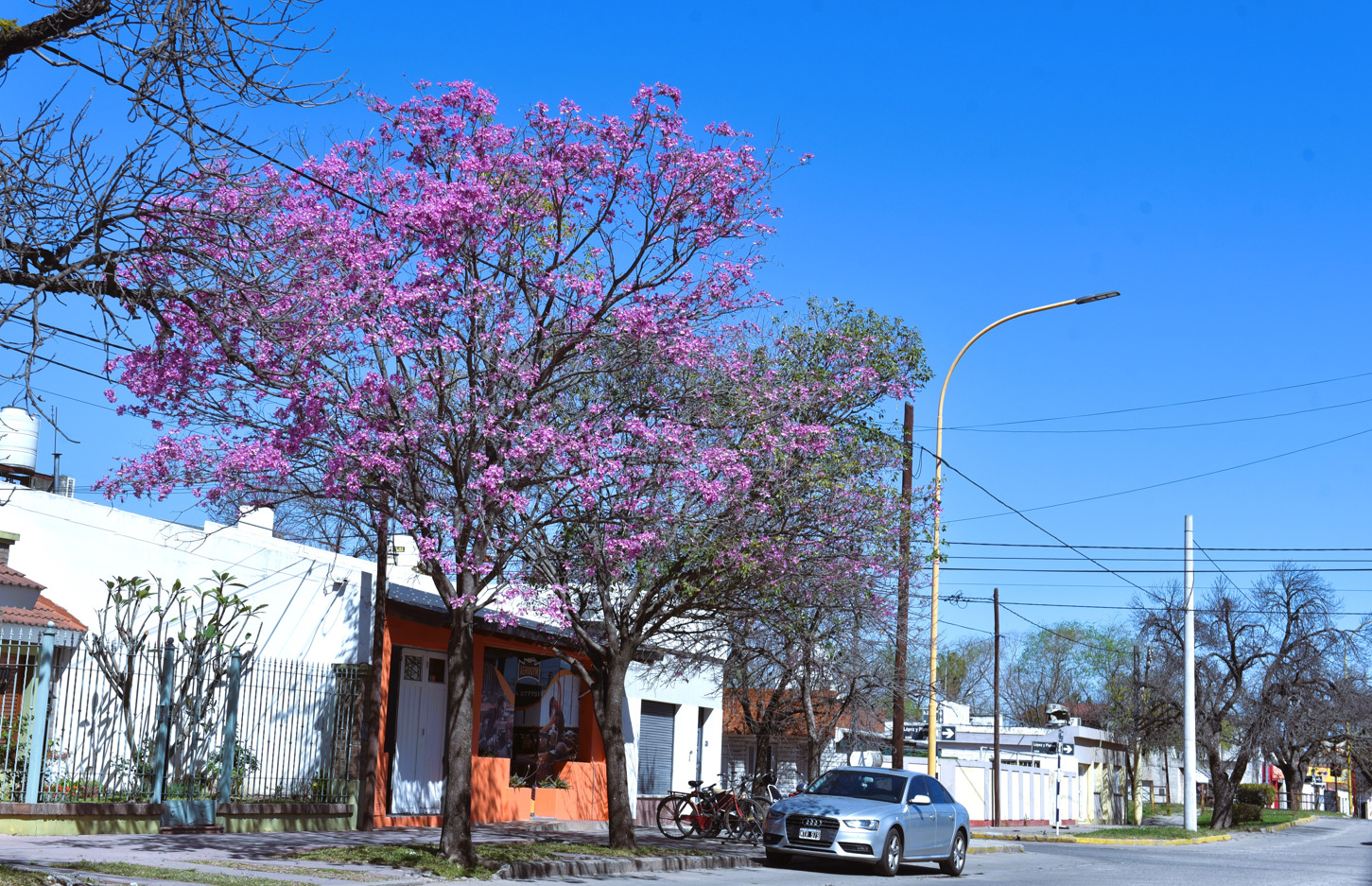 Comienza la primavera: cómo estará el clima este sábado – La Voz de San ...