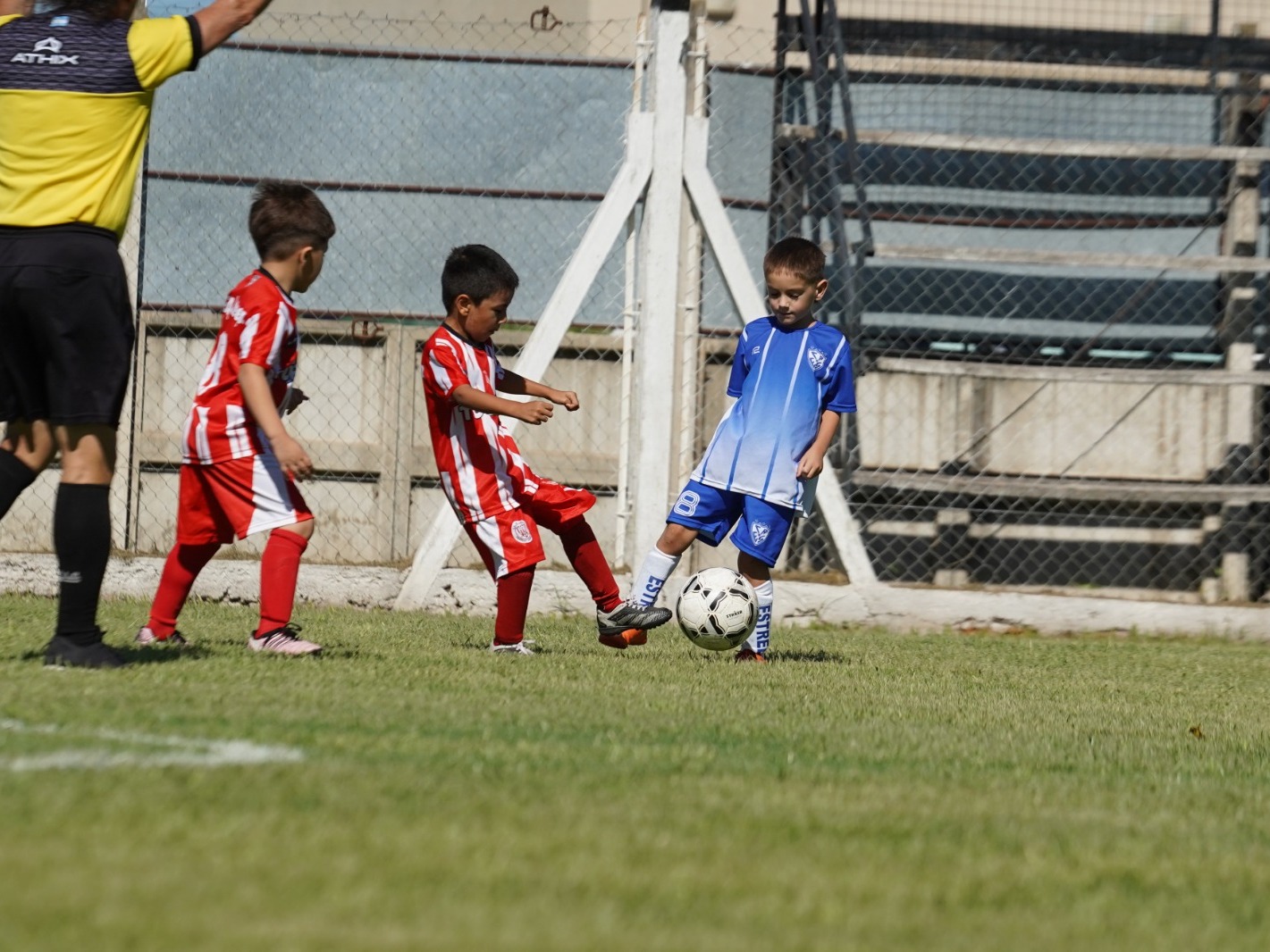 Baby Fútbol: se confirmó el fixture de la séptima fecha – La Voz de San ...