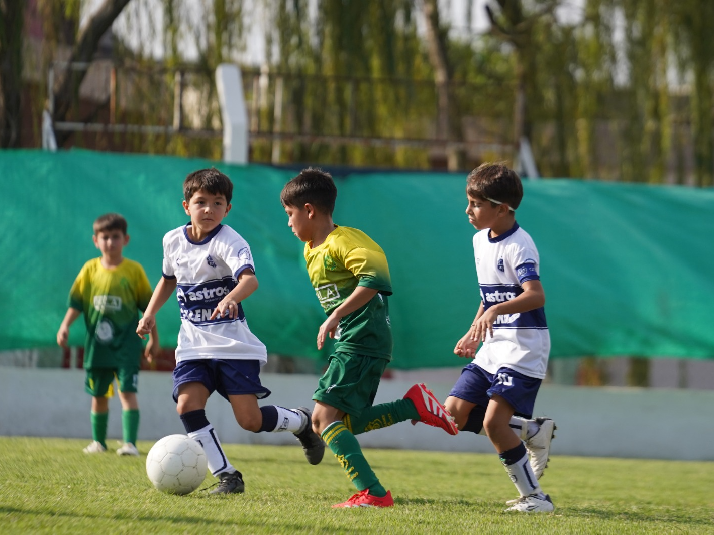 Baby Fútbol: resultados de la fecha 13 y la previa de la 14 – La Voz de ...