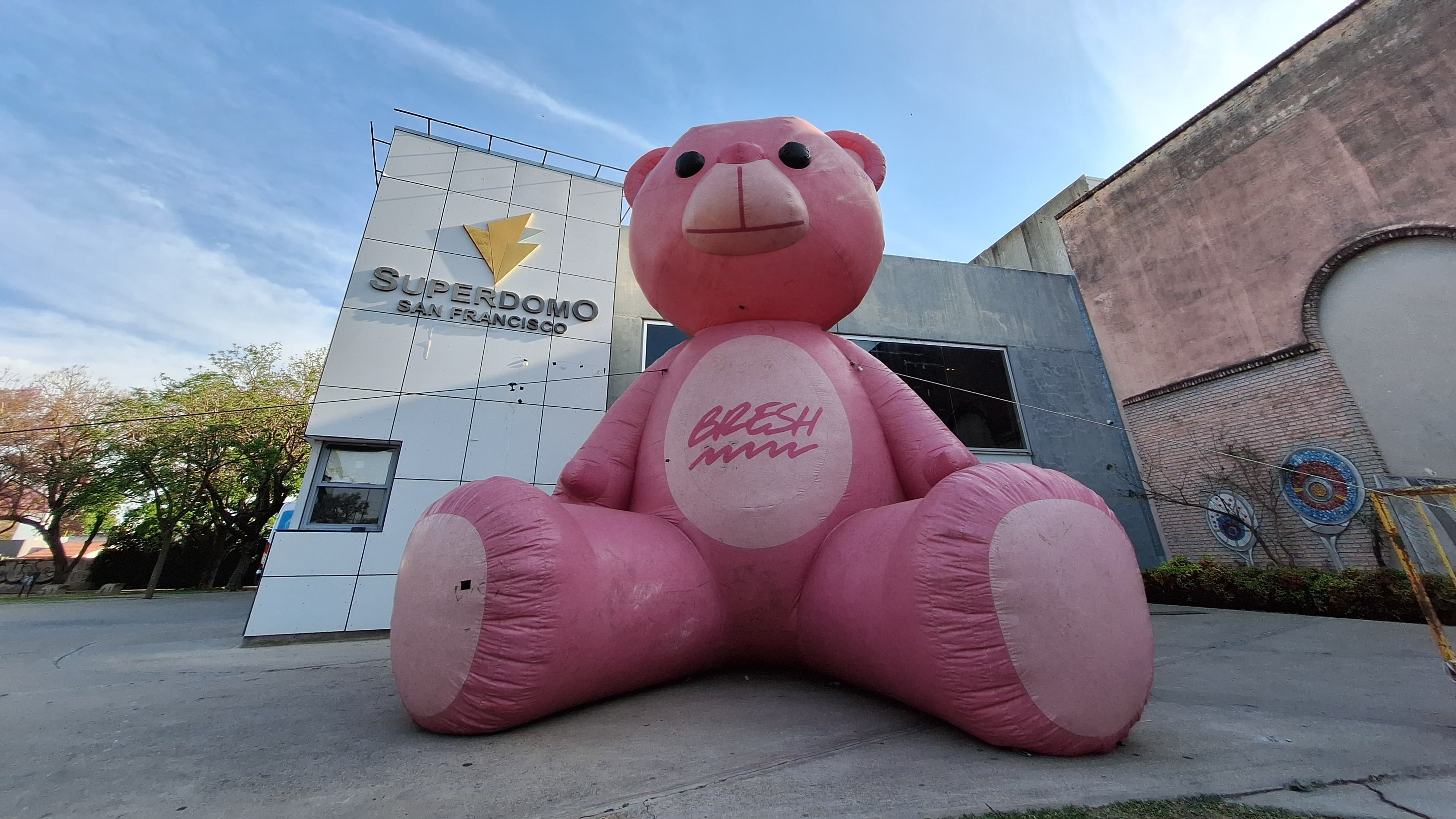 El oso de Bresh sorprende a todos en San Francisco – La Voz de San Justo